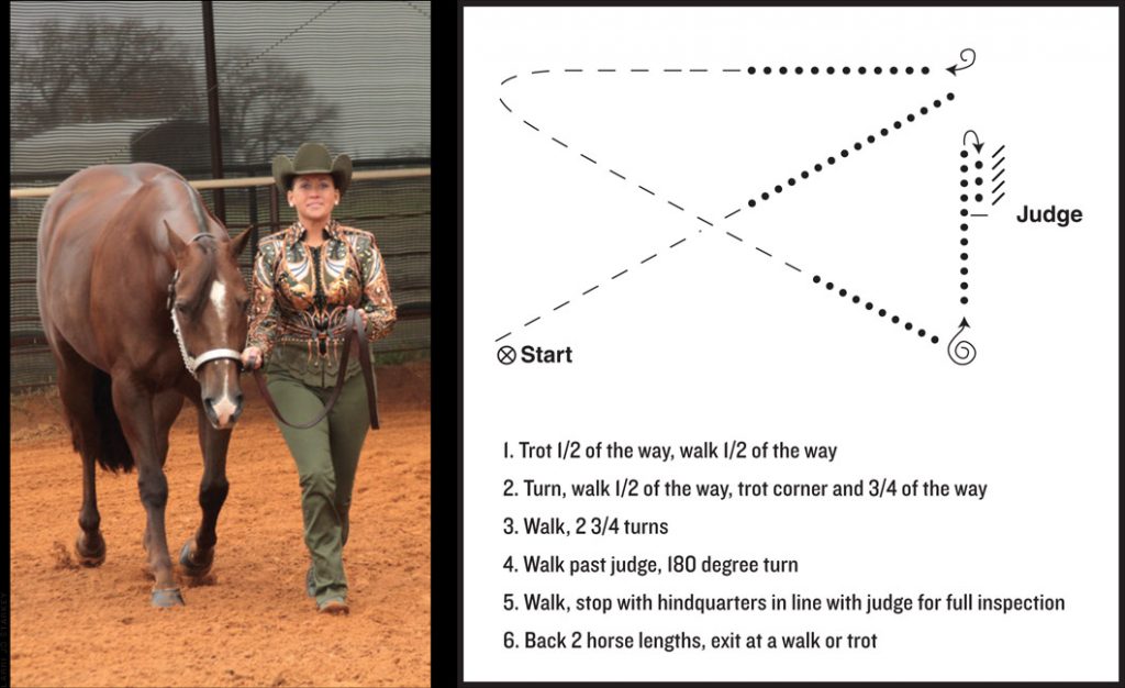 Robin Frid | Ride the Pattern – Showmanship