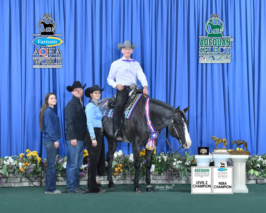 Robin Frid | Show Horses